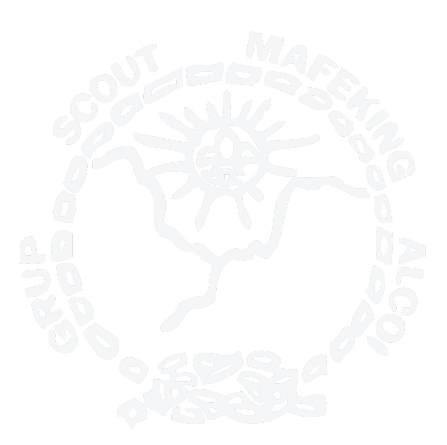 G.S. Mafeking Alcoy 265 – Otro sitio realizado con WordPress